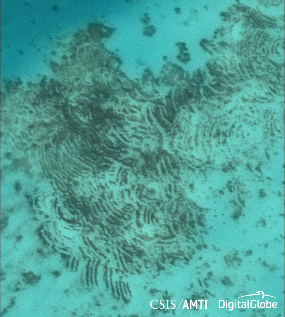 Johnson Reef | Asia Maritime Transparency Initiative